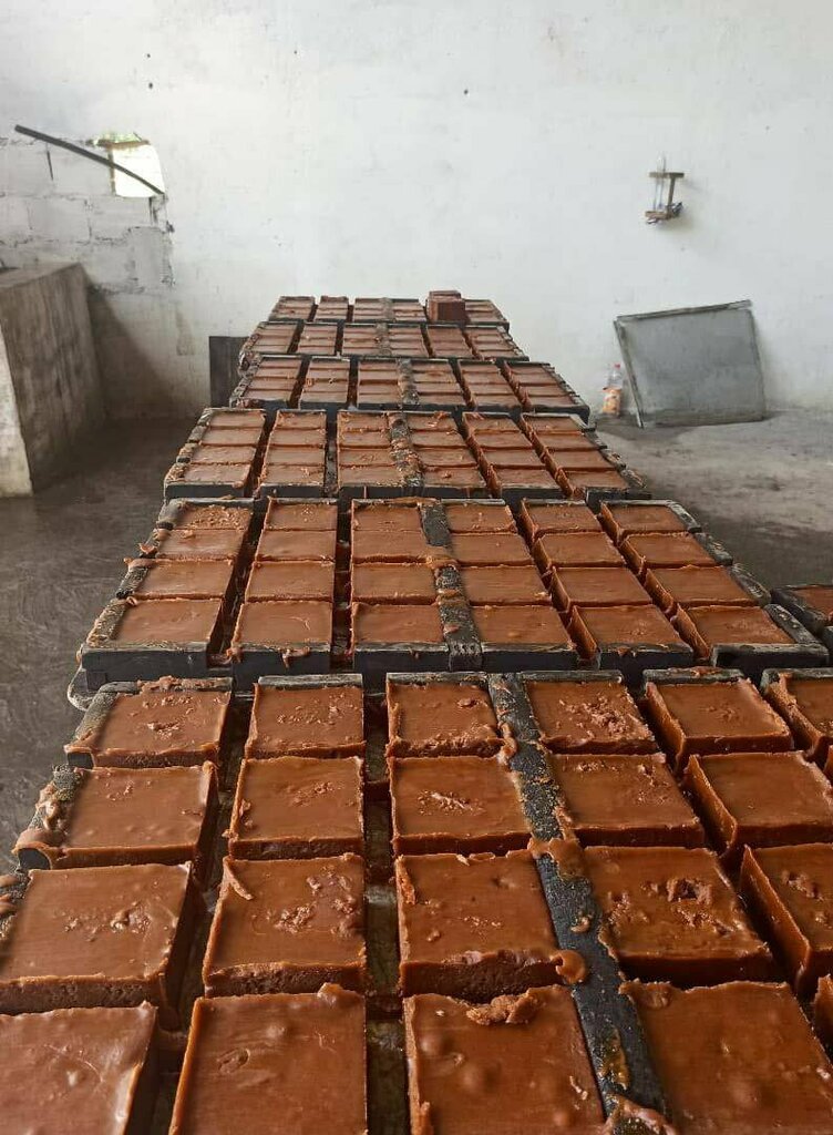 Gıda üreticileri Cocoa Krutov, Tverskaya oblastı, foto