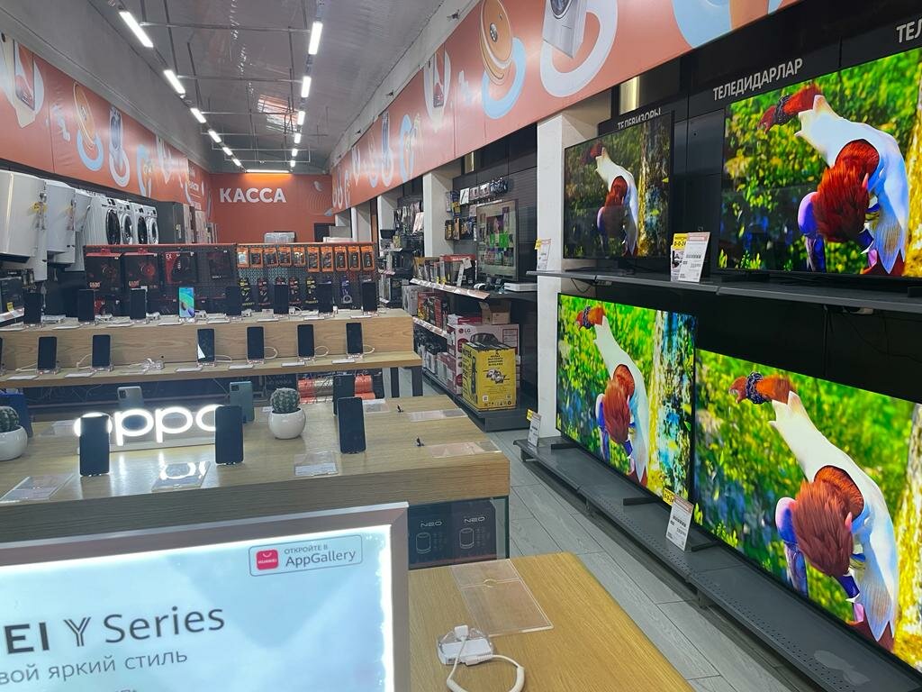 Beyaz eşya mağazaları Technodom, Arıs, foto