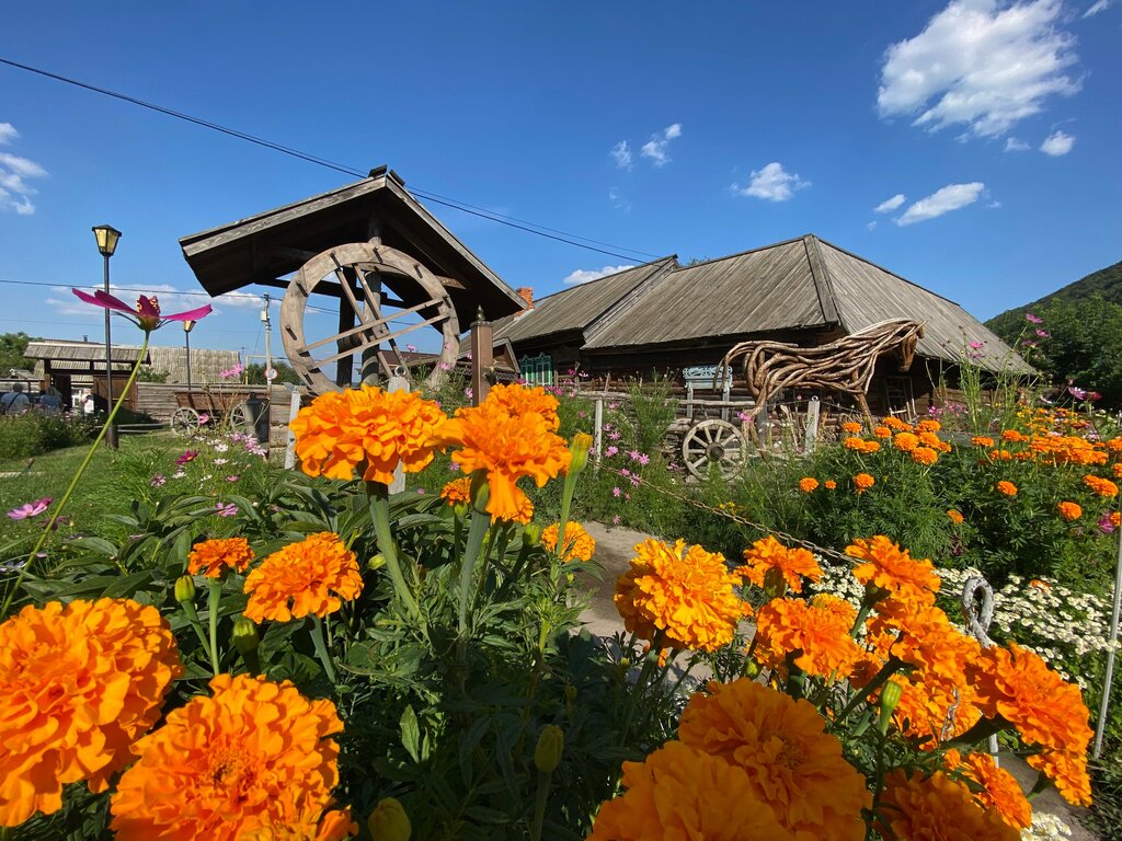 Müzeler ve sanat galerileri Дом-музей поэта А. Ширяевца, Samarskaya oblastı, foto
