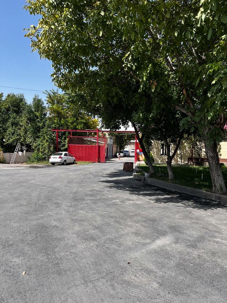 Lojistik firmaları Express Cargo, Taşkent, foto