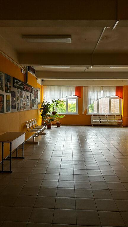 Fen lisesi, sosyal bilimler lisesi GBOU Gymnasium № 441, Saint‑Petersburg, foto