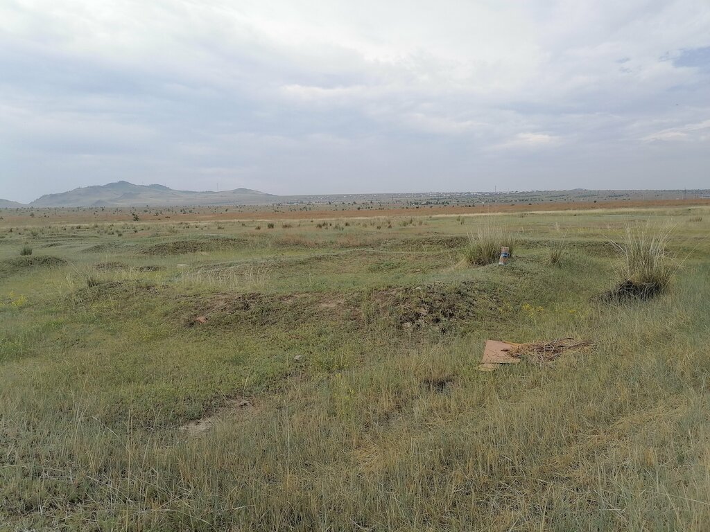 Arkeolojik sit alanı Иволгинское городище, Buriatya, foto