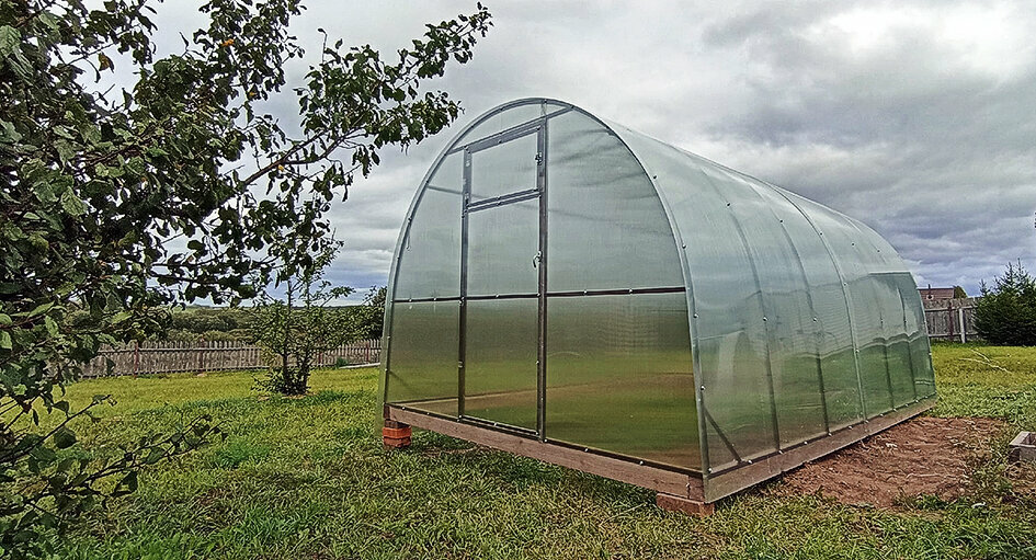 Sera ekipmanları Теплицы, Luga, foto