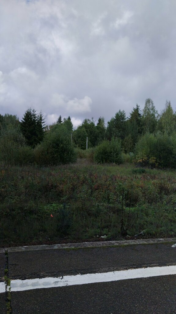 Tren istasyonu остановочный пункт Болотистое, Saint‑Petersburg ve Leningradskaya oblastı, foto