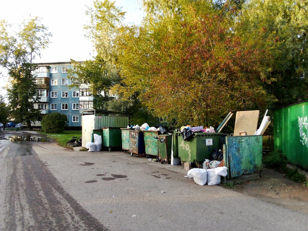 Çöp alanları Trash and garbage disposal area, Velikiy Novgorod, foto