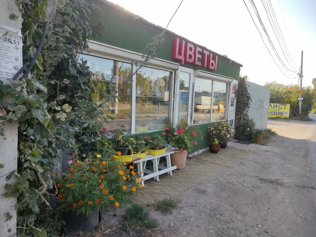 Çiçekçiler Цветы, Samara, foto