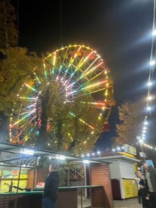 Колесо обозрения (Stavropol, Central Park of Culture and Recreation), atraksiyon  Stavropol'dan