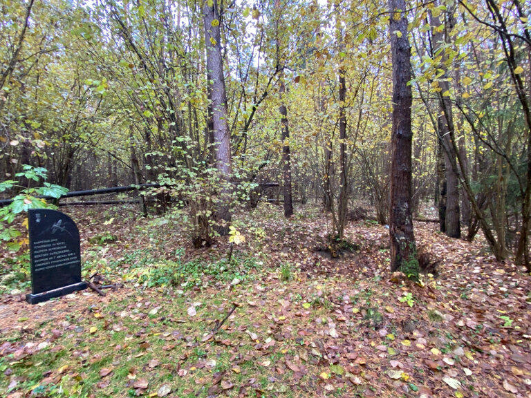 Anıt levhası, anıt taş The crash site of the Victor Talalikhin fighter jet, Moskova ve Moskovskaya oblastı, foto