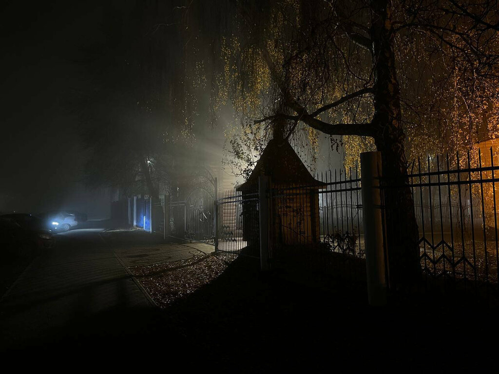 Mezarlıklar Старое кладбище, Ulyanovskaya oblastı, foto