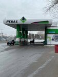 Pegas (Nursultan Nazarbaev dańǵyly No:1/1), benzin istasyonu  Pavlodar'dan