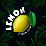 LemoN (Uglichskaya Street No:39Б), çocuklar için kutlama organizasyonları  Yaroslavl'dan