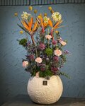 Retaj Flower Trading (University City Road No:343/8, Sharjah), çiçekçiler  Sharjah'tan