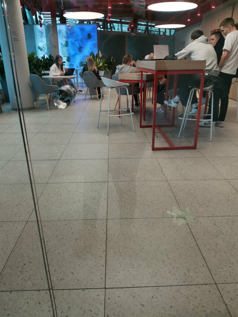 ATM'ler Alfa-Bank, Moskova, foto