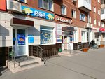 Рыбное место (prospekt Shakhtyorov No:49), balık ve deniz ürünleri  Kemerovo'dan
