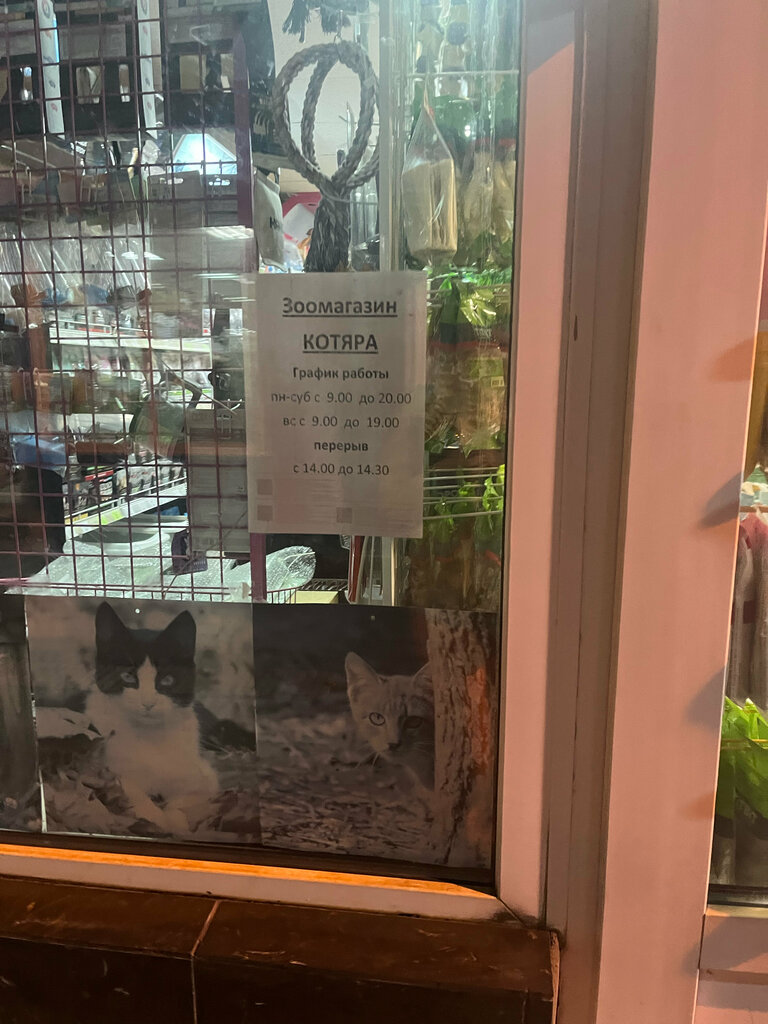 Petshop Котяра, Moskova ve Moskovskaya oblastı, foto