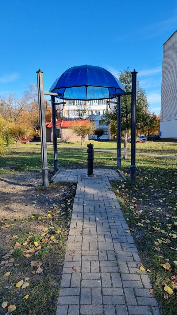 Tulumba Standpipe, Bobruisk, foto
