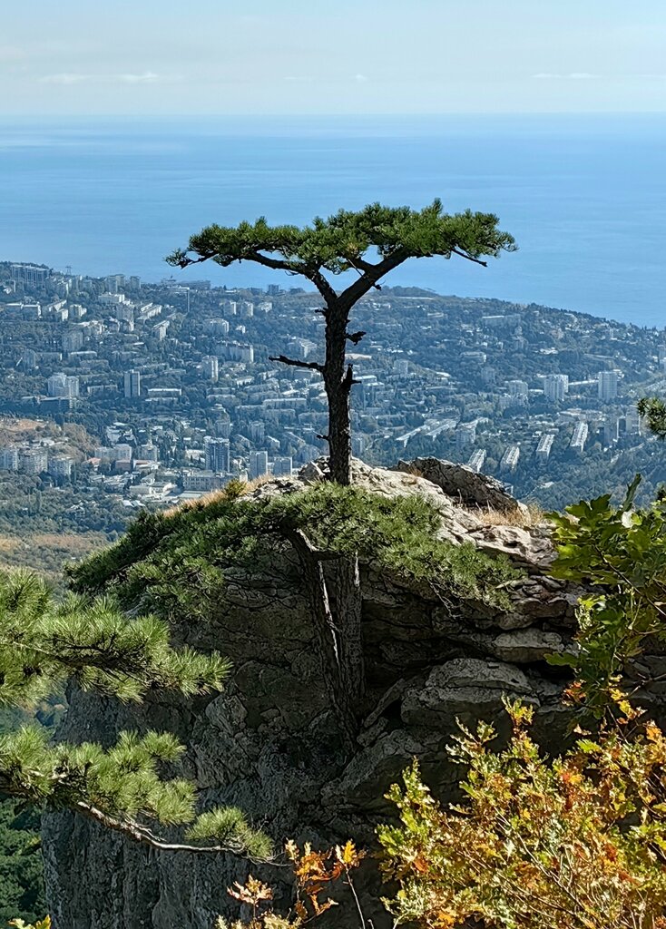 Seyir terası Смотровая площадка, Kırım Cumhuriyeti, foto