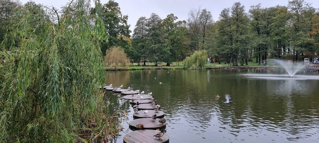 Park, sokak heykeli Лисички, Zelenogradsk, foto