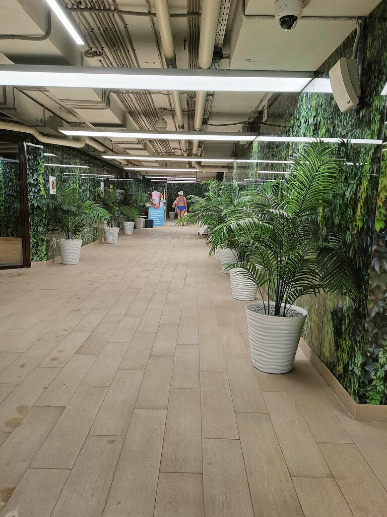 Masaj salonları Termal SPA, Vidnoye, foto