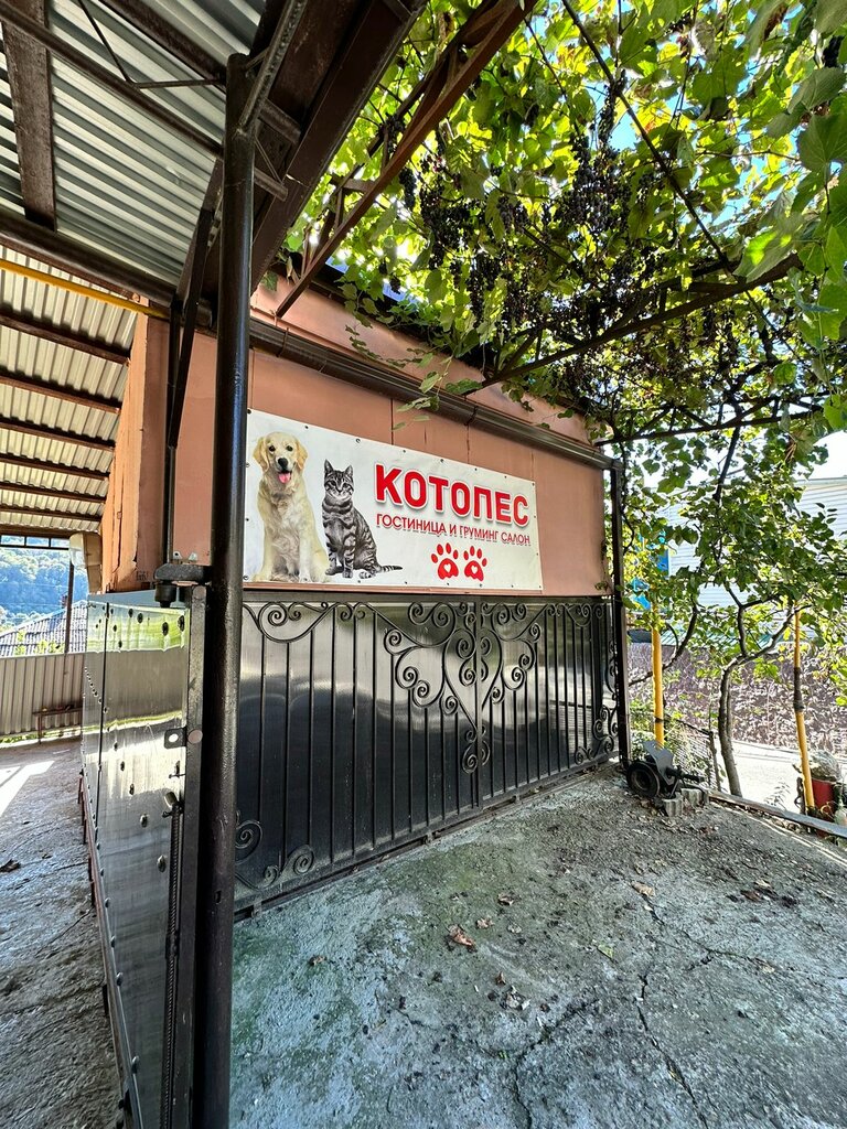 Evcil hayvan kuaförleri Kotopes, Soçi, foto