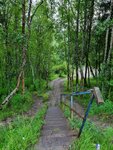 Родник Лапландский (Murmansk Region, munitsipalny okrug Olenegorsk), pınar, çay  Murmanskaya oblastından
