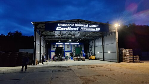Oto lastik tamiri Tdk Group Cordiant Professional, Moskova ve Moskovskaya oblastı, foto