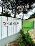 Vocal_gel (Khalturina street No:30лит1), müzik okulları ve konservatuarlar  Gelencik'ten