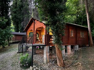 Cypress House (Kurortnaya ulitsa No:27, Akhali Atoni), otel  New Athos'tan