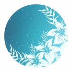 Flower Moon (ulitsa Gorkogo No:25), çiçekçiler  Briansk'tan