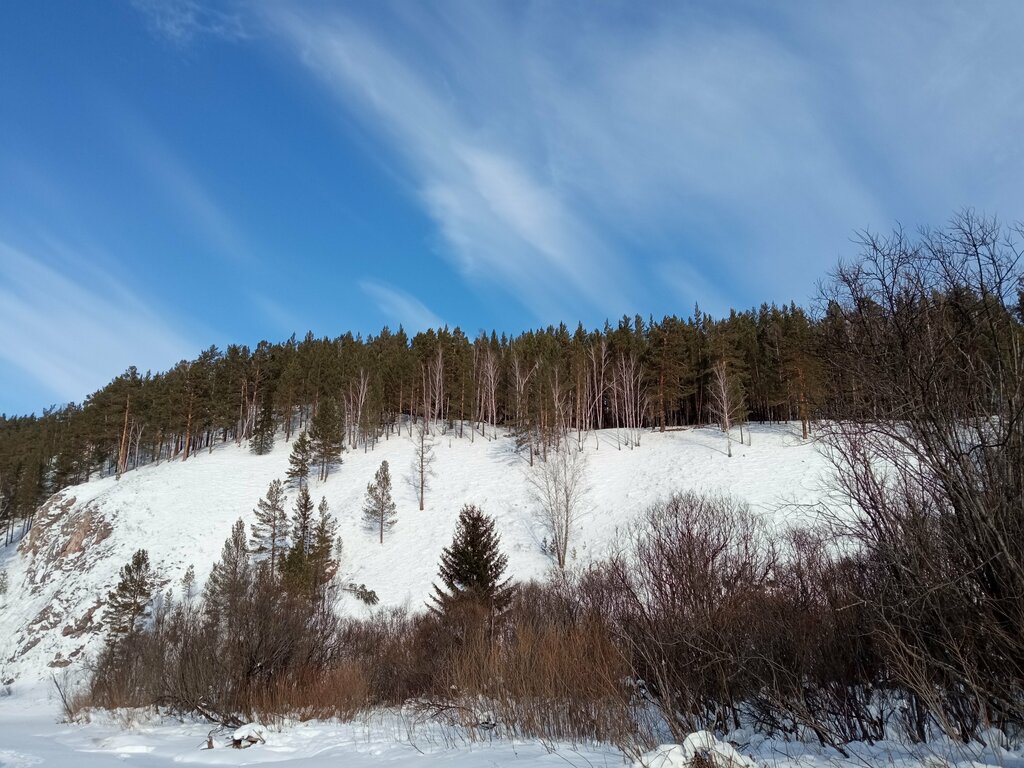 Piknik alanı Place for picnic, Krasnoyarski krayı, foto