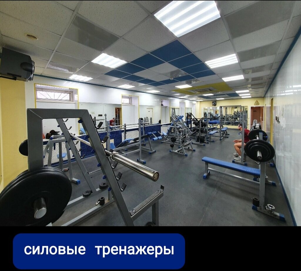 Spor kulüpleri Пермские медведи, Perm, foto