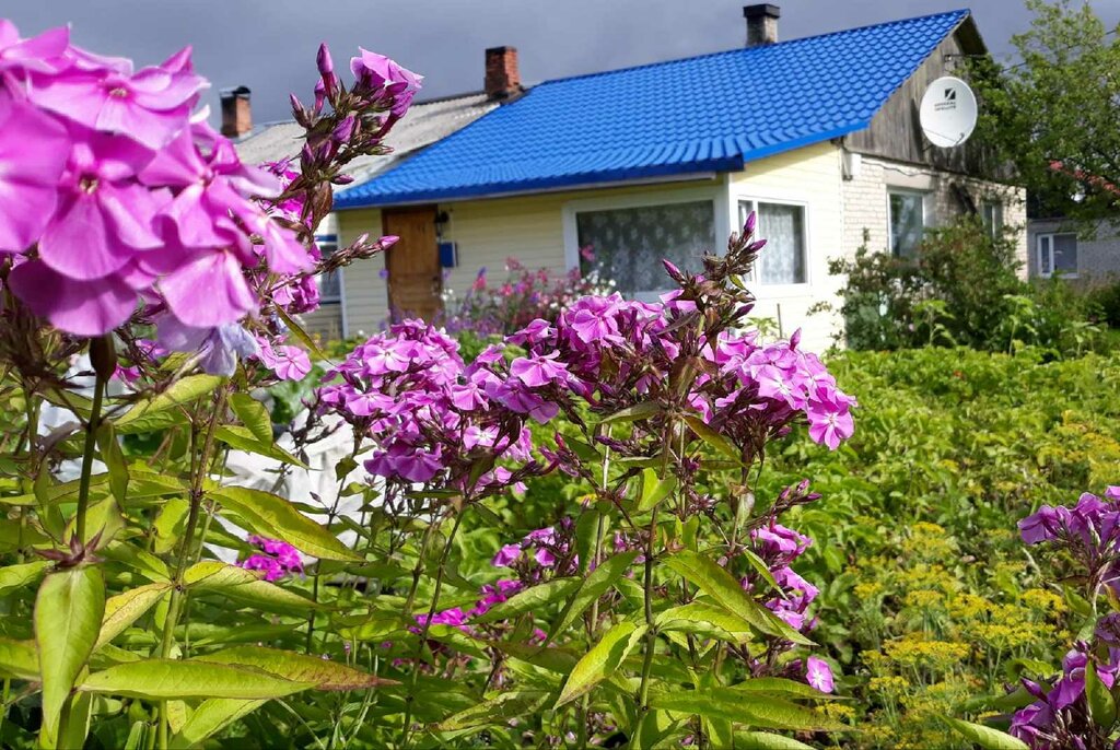 Resort oteller, tesisler Гостевой Дом, Karelya, foto