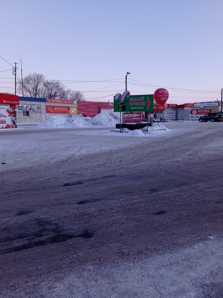 Petshop Beliy Krolik, Habarovsk, foto