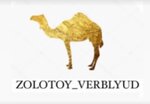 Zolotoy verblyud (ulitsa Gamidova No:70), ev eşyası mağazaları  Khasavyurt'tan