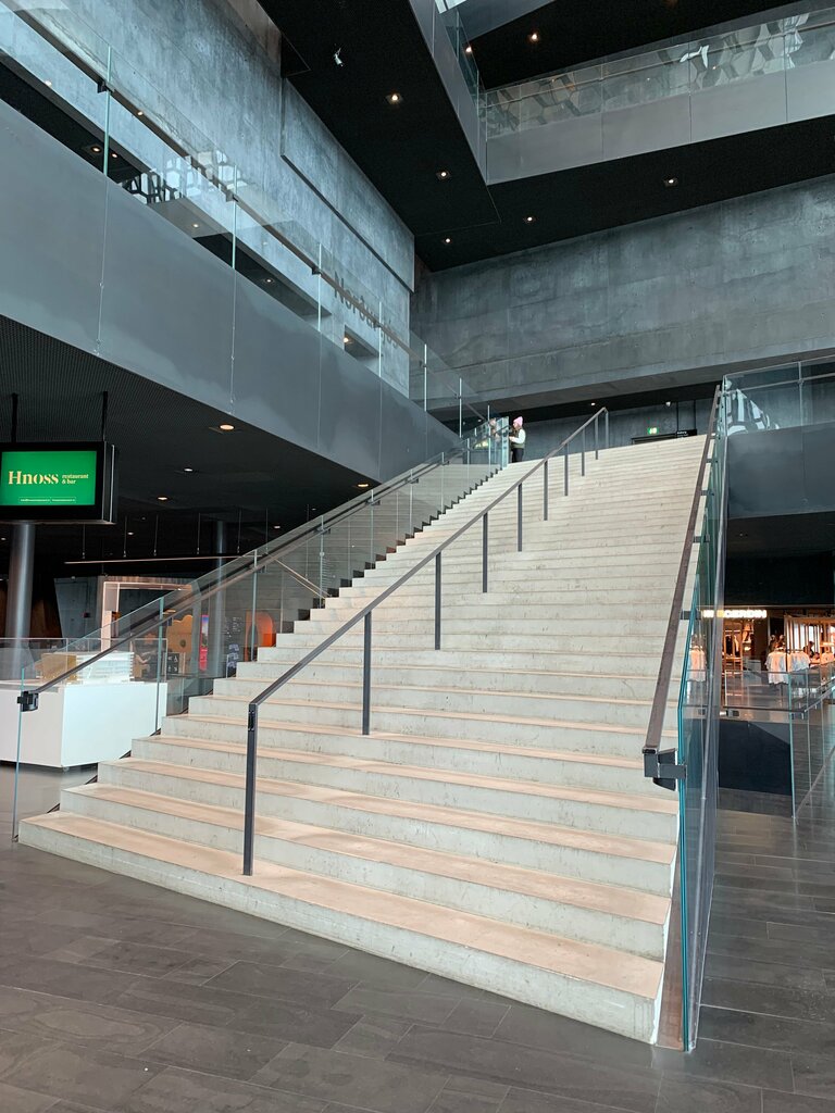 Konser salonları Harpa, Reykyavik, foto