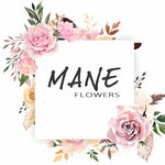Mane (Beregovaya Street No:7к1), çiçekçiler  Rostov‑na‑Donu'dan