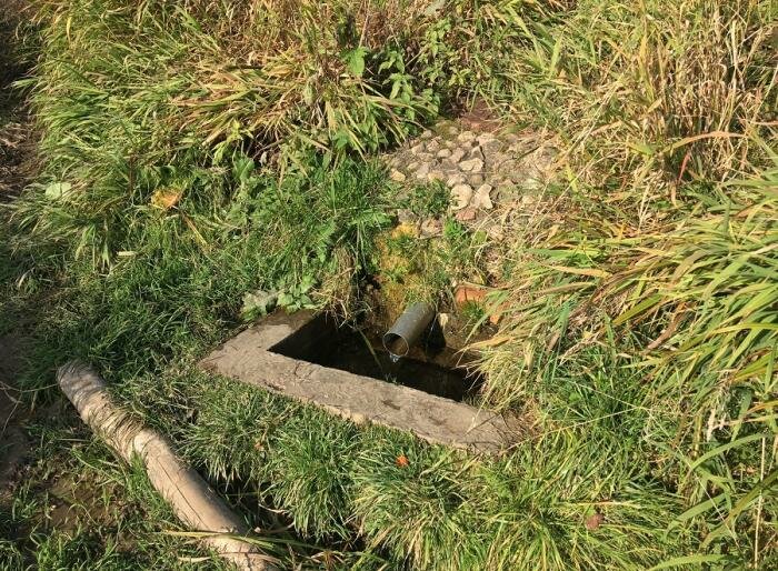 Pınar, çay Spring, stream, Zelenograd, foto