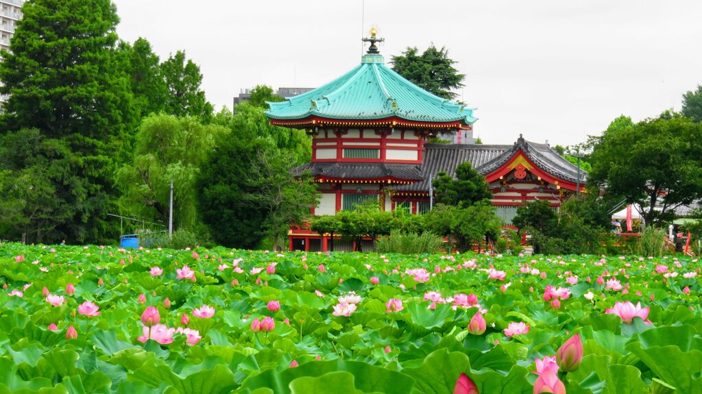 Pagoda Shinobazunoike Benten-do, Tokyo, foto