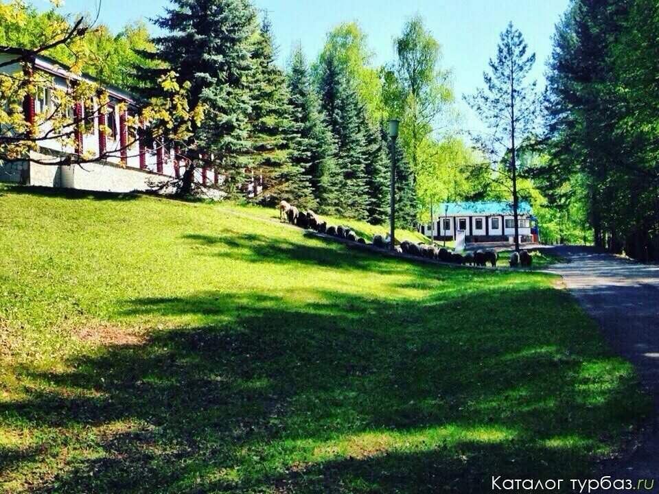 Yaz kampı Танып, Başkurdistan, foto