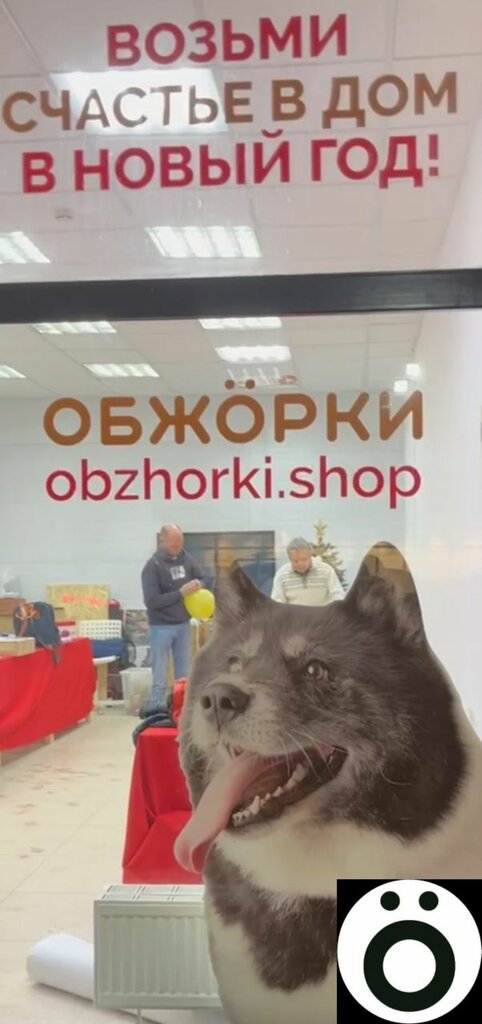 Evcil hayvan yemi üretimi Obzhorki - natural food for dogs and cats, Stupino, foto