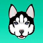 Chien Pro Grooming (Budyonnogo Avenue No:33с1), evcil hayvan kuaförleri  Moskova'dan