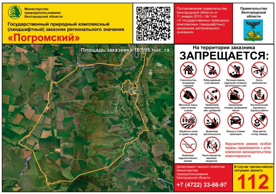 Orman урочище Стенка, Belgorodskaya oblastı, foto