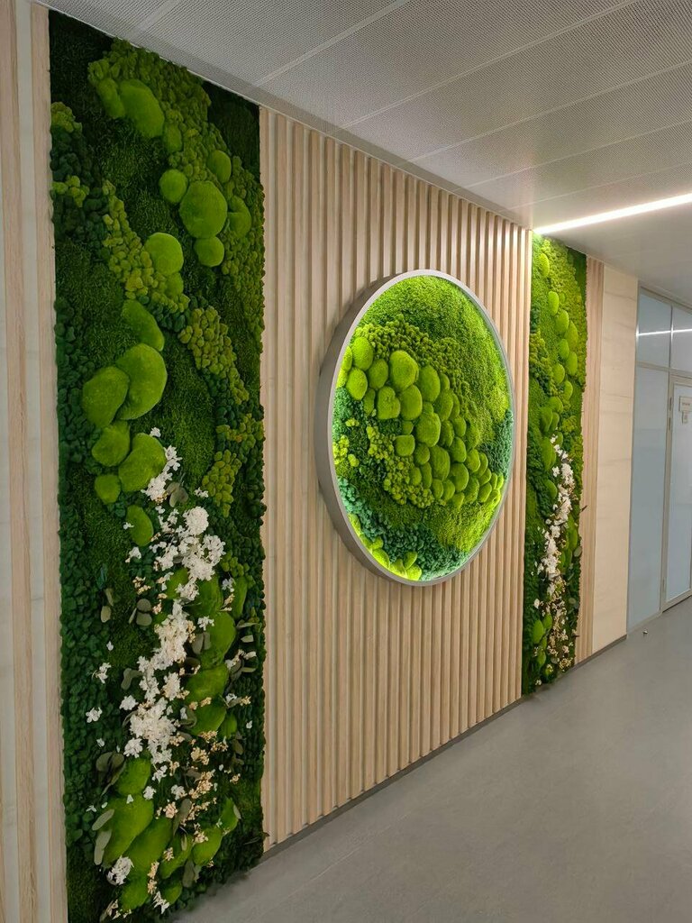 Yapay bitki ve çiçek Inside nature, Novosibirsk, foto