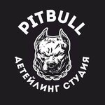 Pitbull (ulitsa Ageyeva No:45), detaylı oto bakımı  Ussuriysk'ten