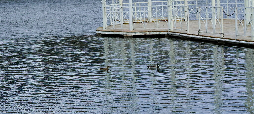 i̇skele Jetty , Gubkin, foto