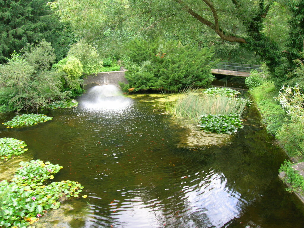 Turistik yerler Burkarder Garten, Wurzburg, foto