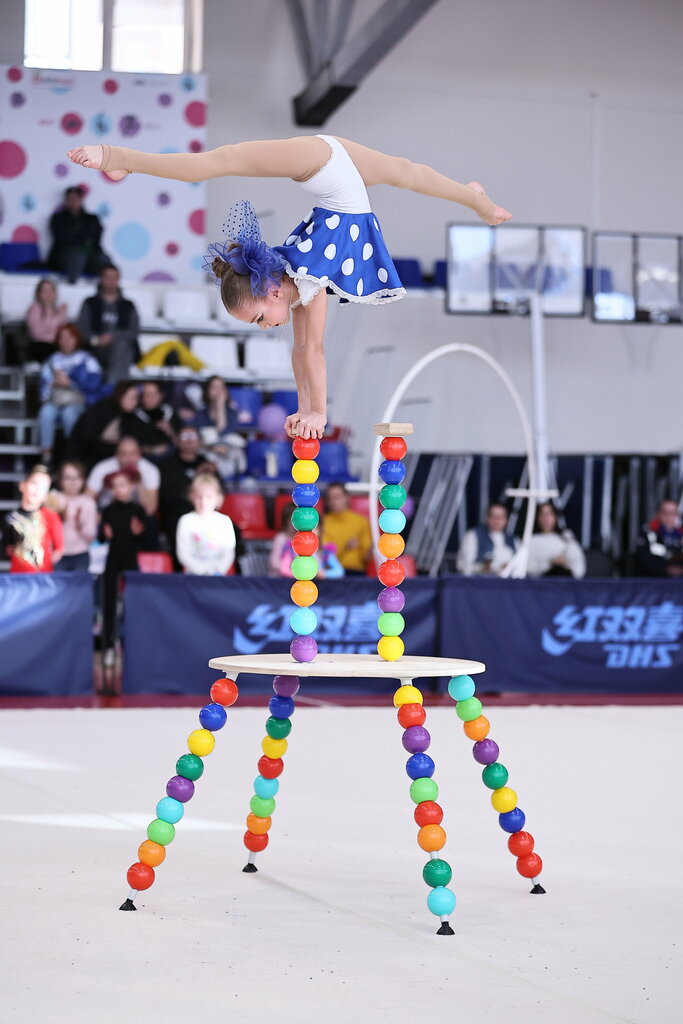 Spor kulüpleri WelcomeToCircus, Krasnogorsk, foto