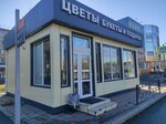 Цветы (Krasnoyarsk Territory, Achinsk, Kravchenko Street), çiçek teslimatı  Achinsk'ten