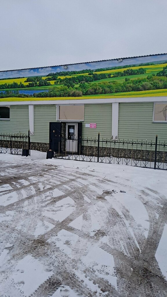 Teslimat noktası Ozon, Kurganskaya oblastı, foto