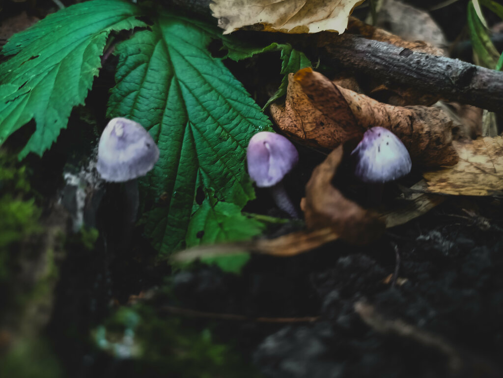 Turistik yerler Большой камень, Nijegorodskaya oblastı, foto